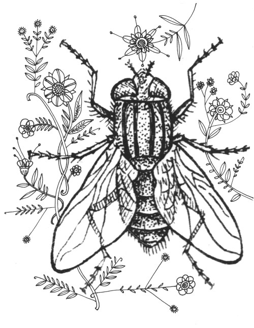 COLORING PAGES | Julie Paschkis